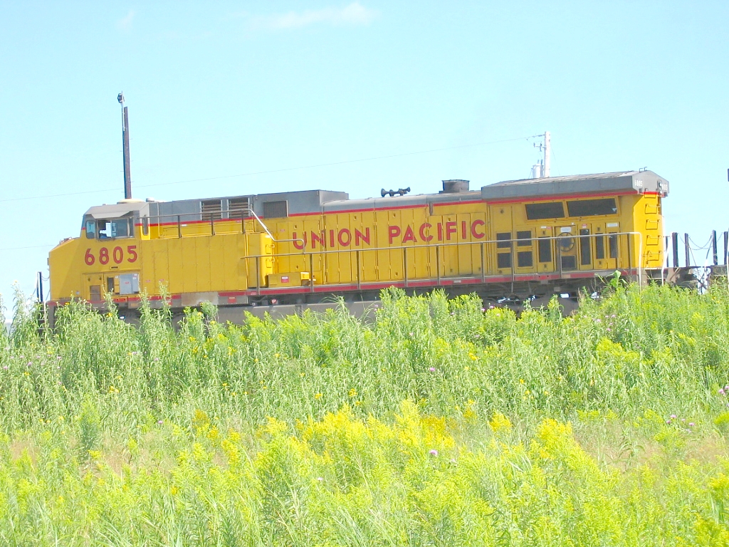 UP 6805 finds some Flowers....